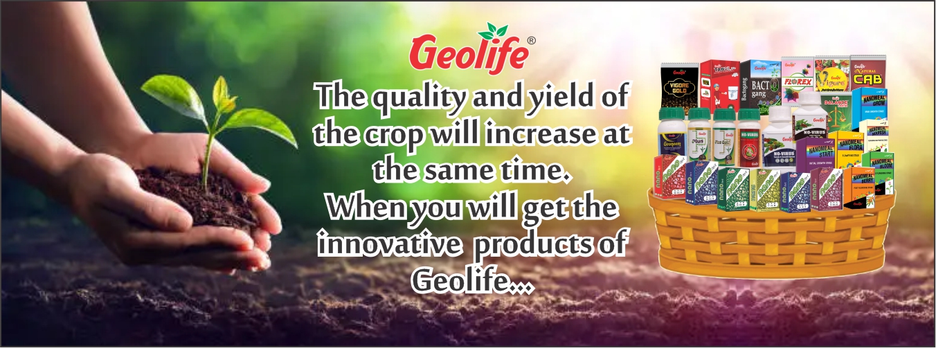 Urban Gardening Store and Vegetable Seeds Company in India - Agrisetu E ...